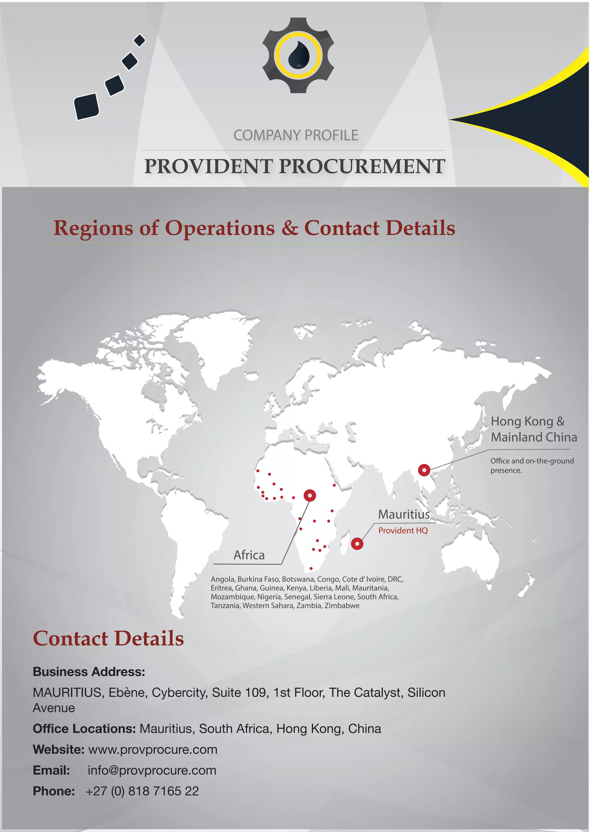 Provident Procurement Company Profile | PDF