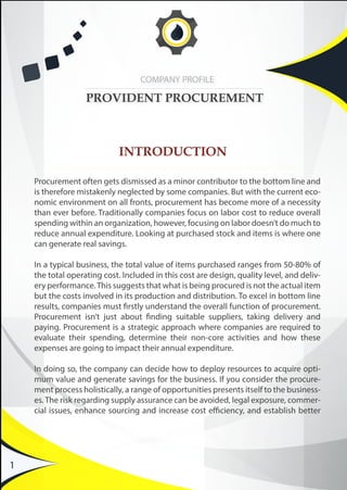 Provident Procurement Company Profile | PDF