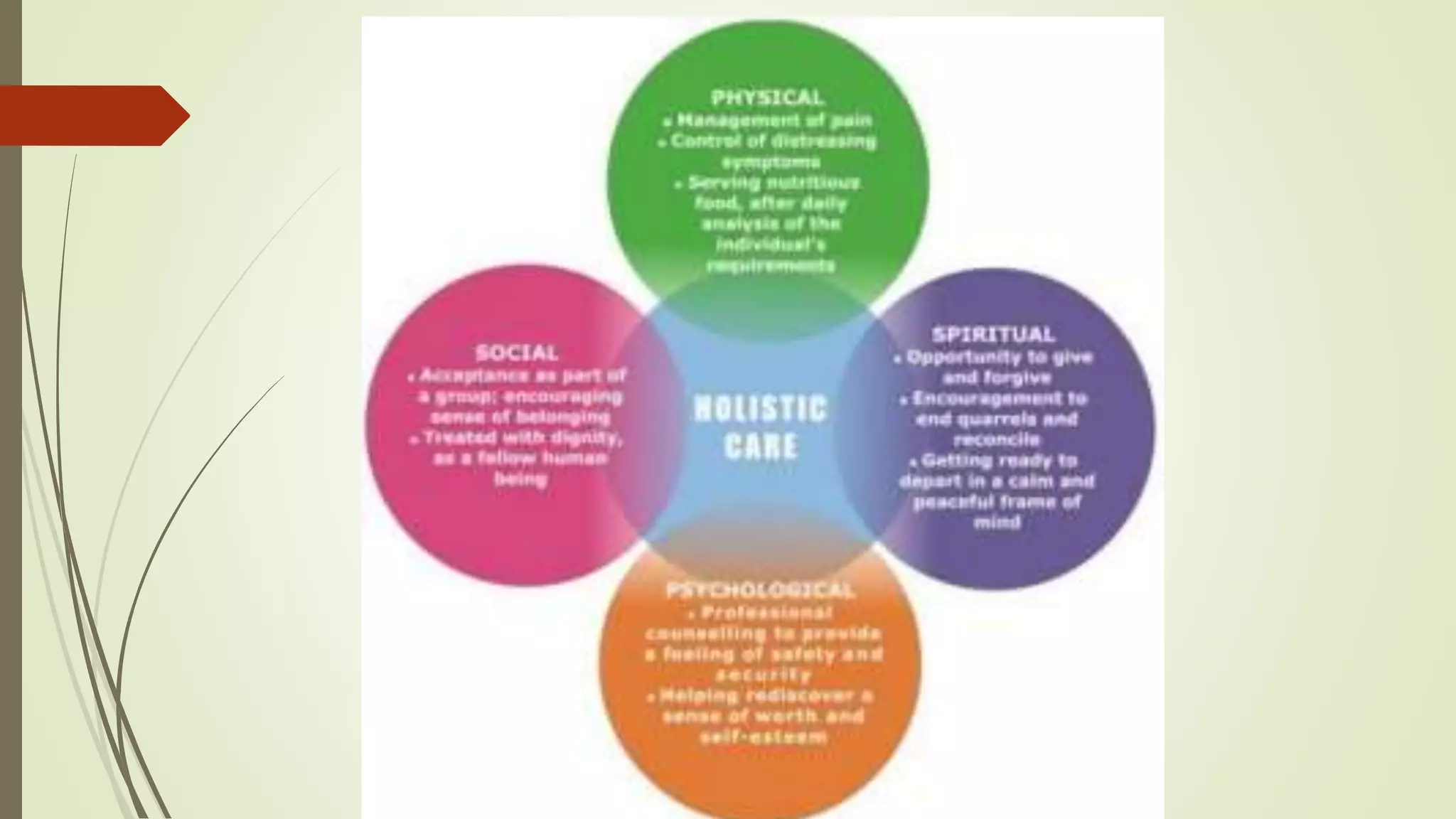 Providing holistic care | PPT
