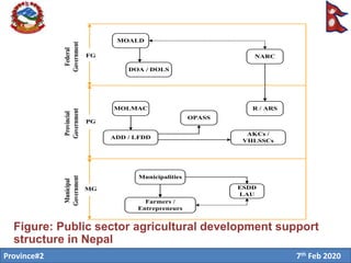 Status of Horticultural crops in Province 2 Nepal | PPTX