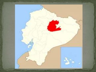 Provincia Del Napo | PPTX