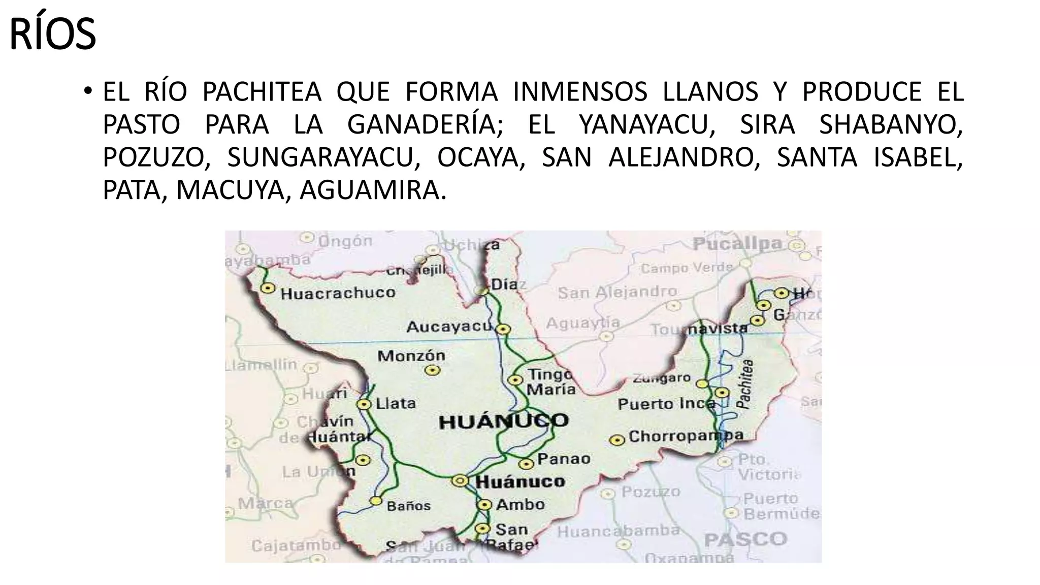 PROVINCIA DE PUERTO INCA.pptx