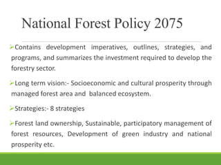 Provincial and local forest policy review | PPTX