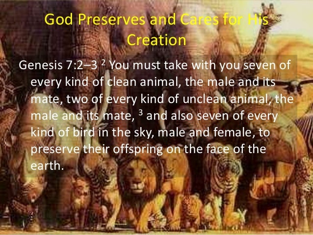 Provision In The Midst of the Storm - Genesis 7:1-24