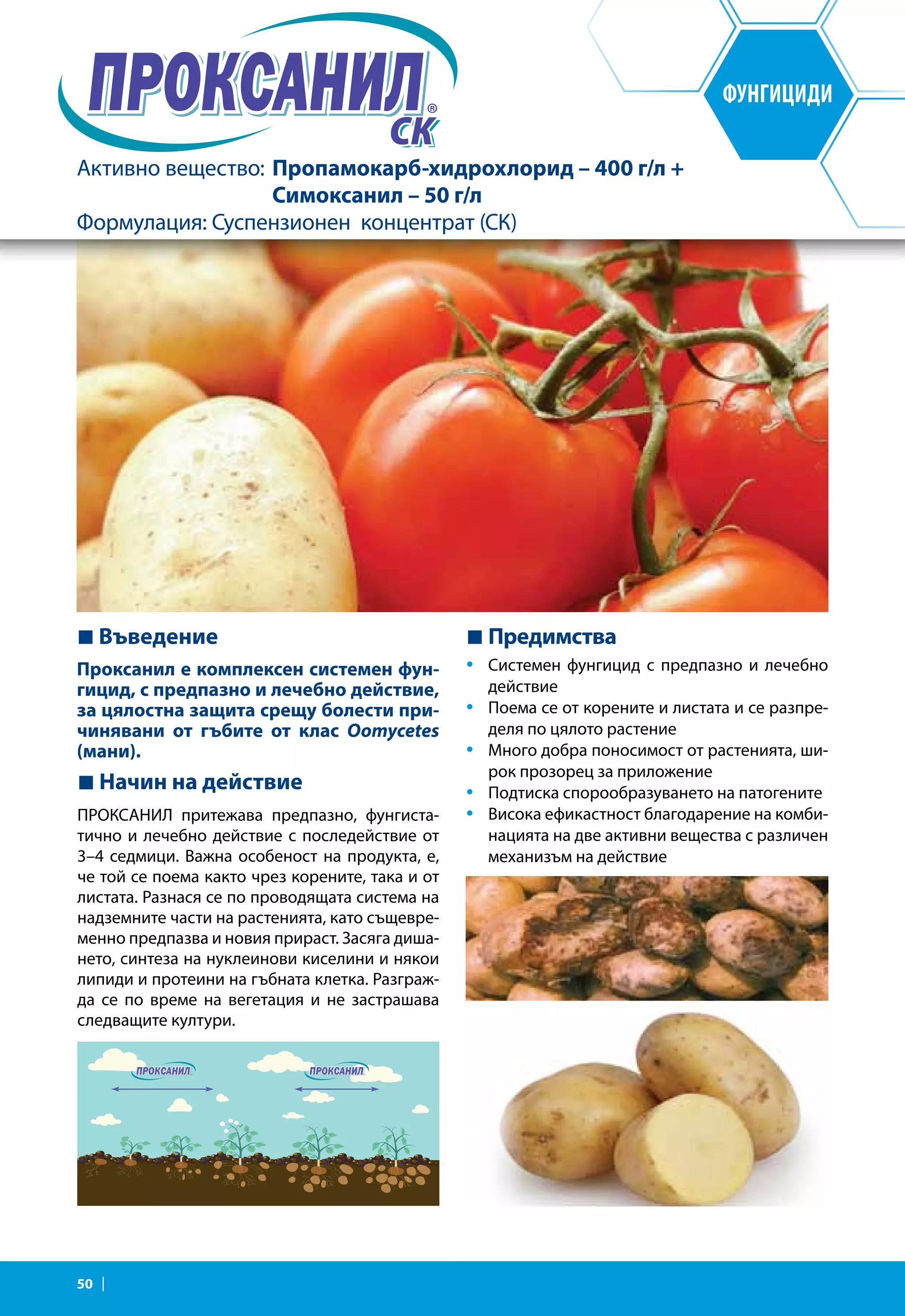 Proxanil leaflet | PDF