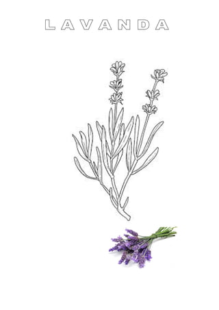 PROXECTO INFANTIL/ COÑECEMOS A NOSA CONTORNA:FLORA E FAUNA | PDF