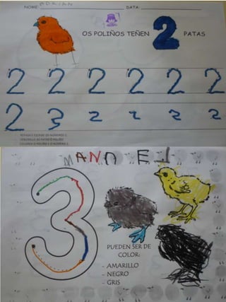 Proxecto pitiños | PDF