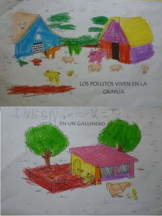 Proxecto pitiños | PDF