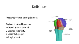 Proximal humerus Akshay presentation.pptx