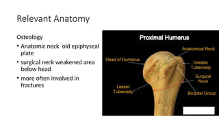 Proximal humerus Akshay presentation.pptx