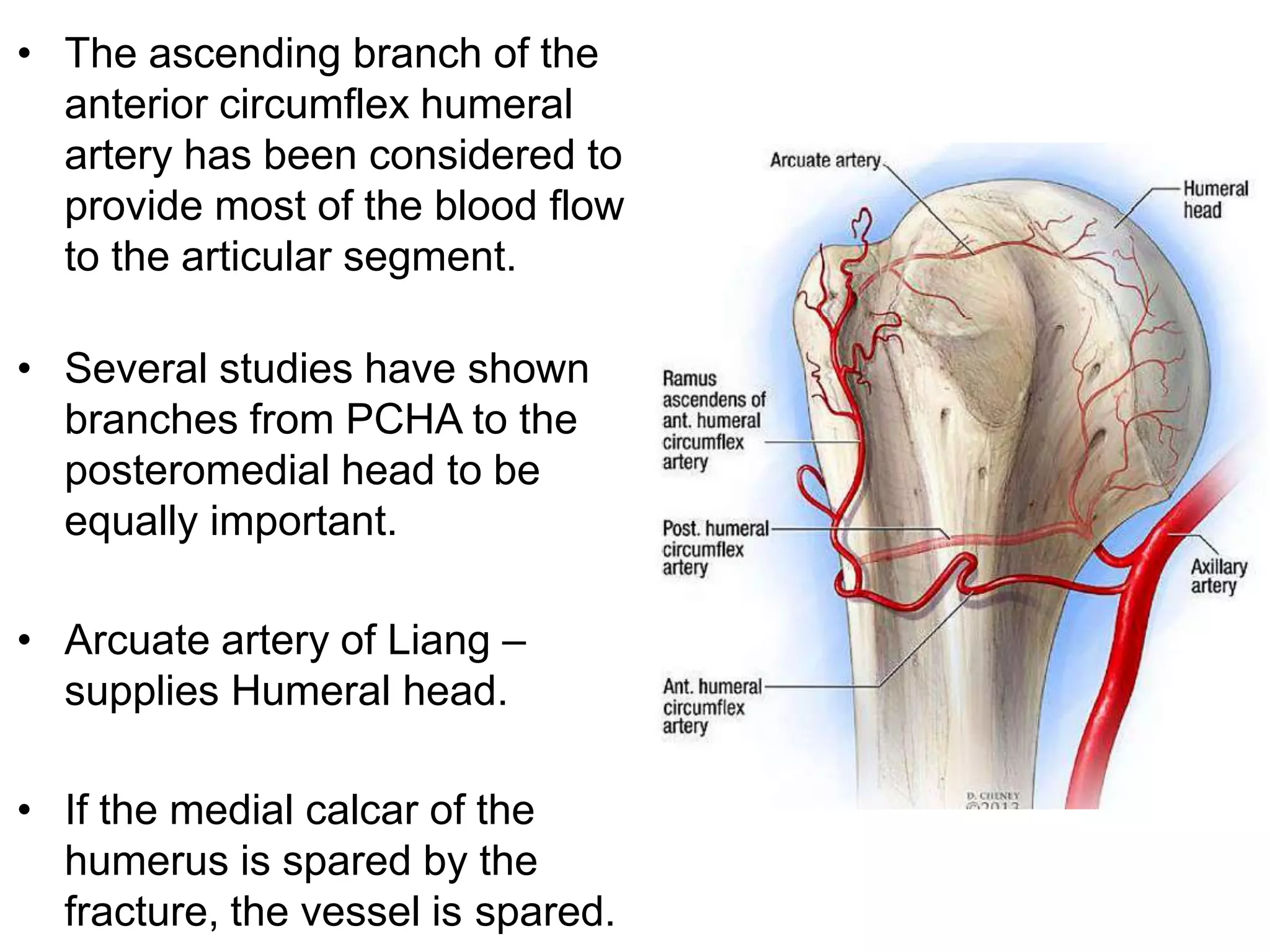 Proximal humerus fractures | PPTX
