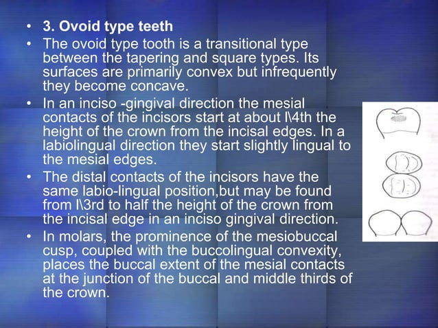 PROXIMAL CONTACTS AND CONTOURS | PPT | Dental Health | Diseases and ...