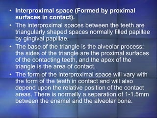 PROXIMAL CONTACTS AND CONTOURS | PPT