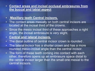 PROXIMAL CONTACTS AND CONTOURS | PPT