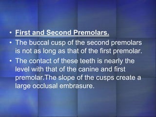 PROXIMAL CONTACTS AND CONTOURS | PPT
