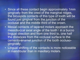 PROXIMAL CONTACTS AND CONTOURS | PPT