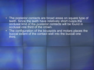 PROXIMAL CONTACTS AND CONTOURS 1.ppt