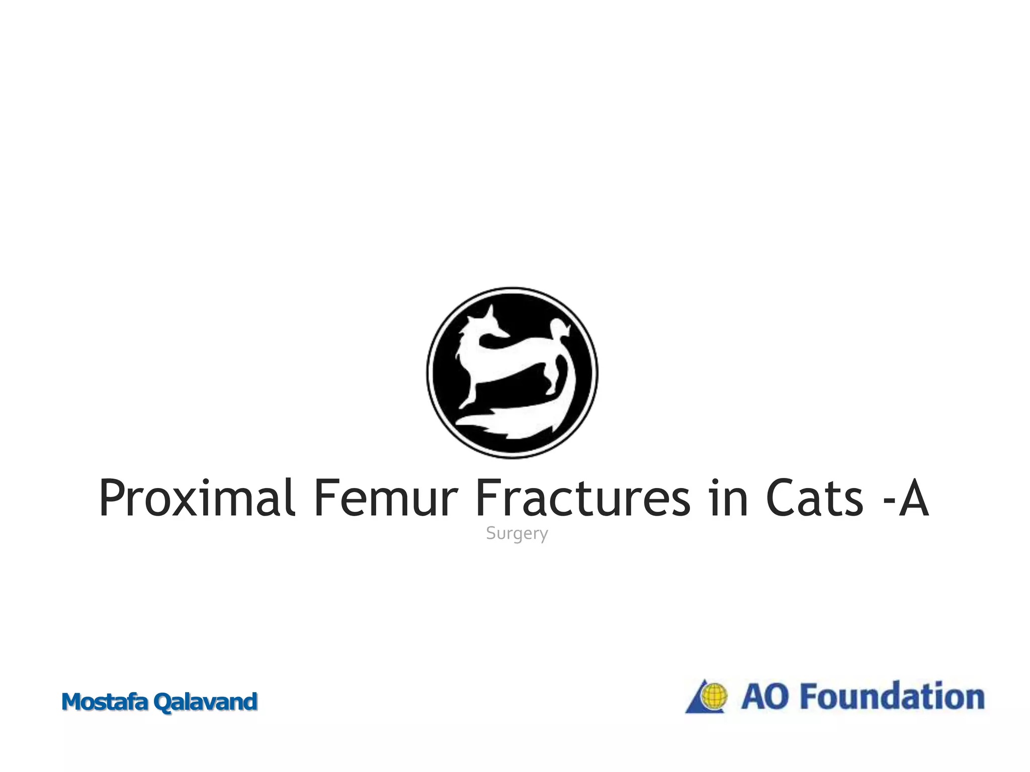 Proximal Femur Fracture in Cats Part A - Mostafa Qalavand | PPT