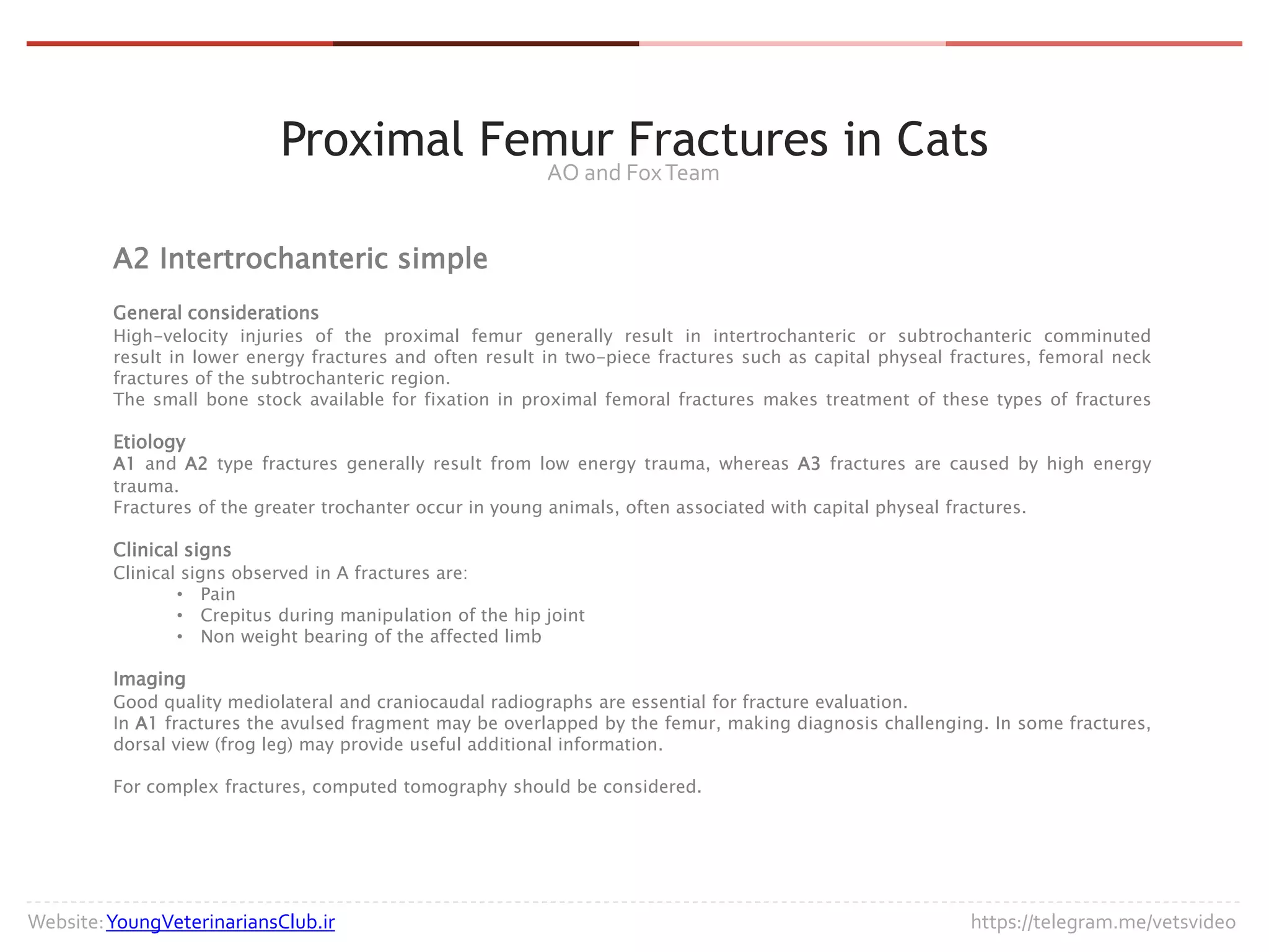 Proximal Femur Fracture in Cats Part A - Mostafa Qalavand | PPT