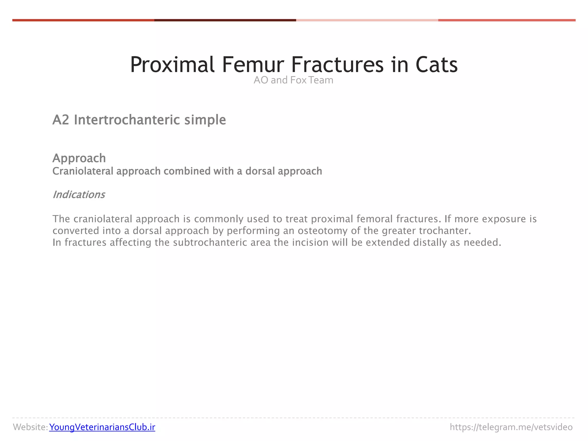 Proximal Femur Fracture in Cats Part A - Mostafa Qalavand | PPT