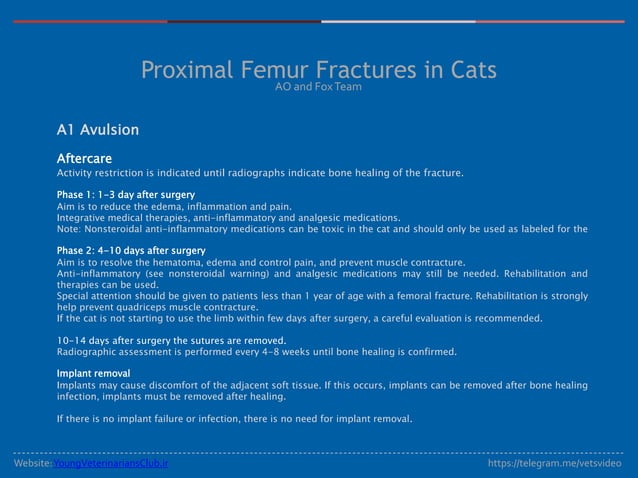 Proximal Femur Fracture in Cats Part A - Mostafa Qalavand | PPT