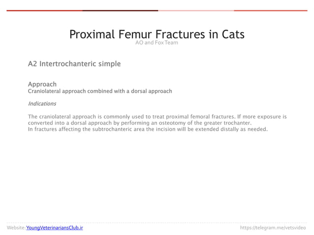 Proximal Femur Fracture in Cats Part A - Mostafa Qalavand | PPT