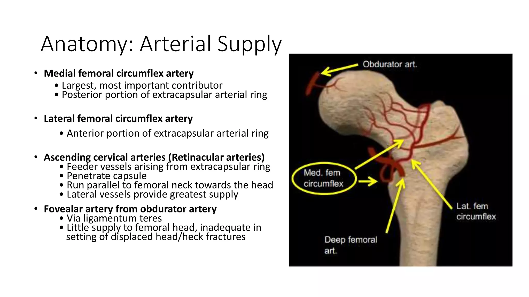 Proximal femur fractures | PPTX