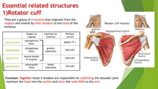 The proximal humeral fractures .pptx