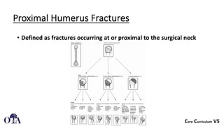 Proximal Humerus presentation with images | PDF