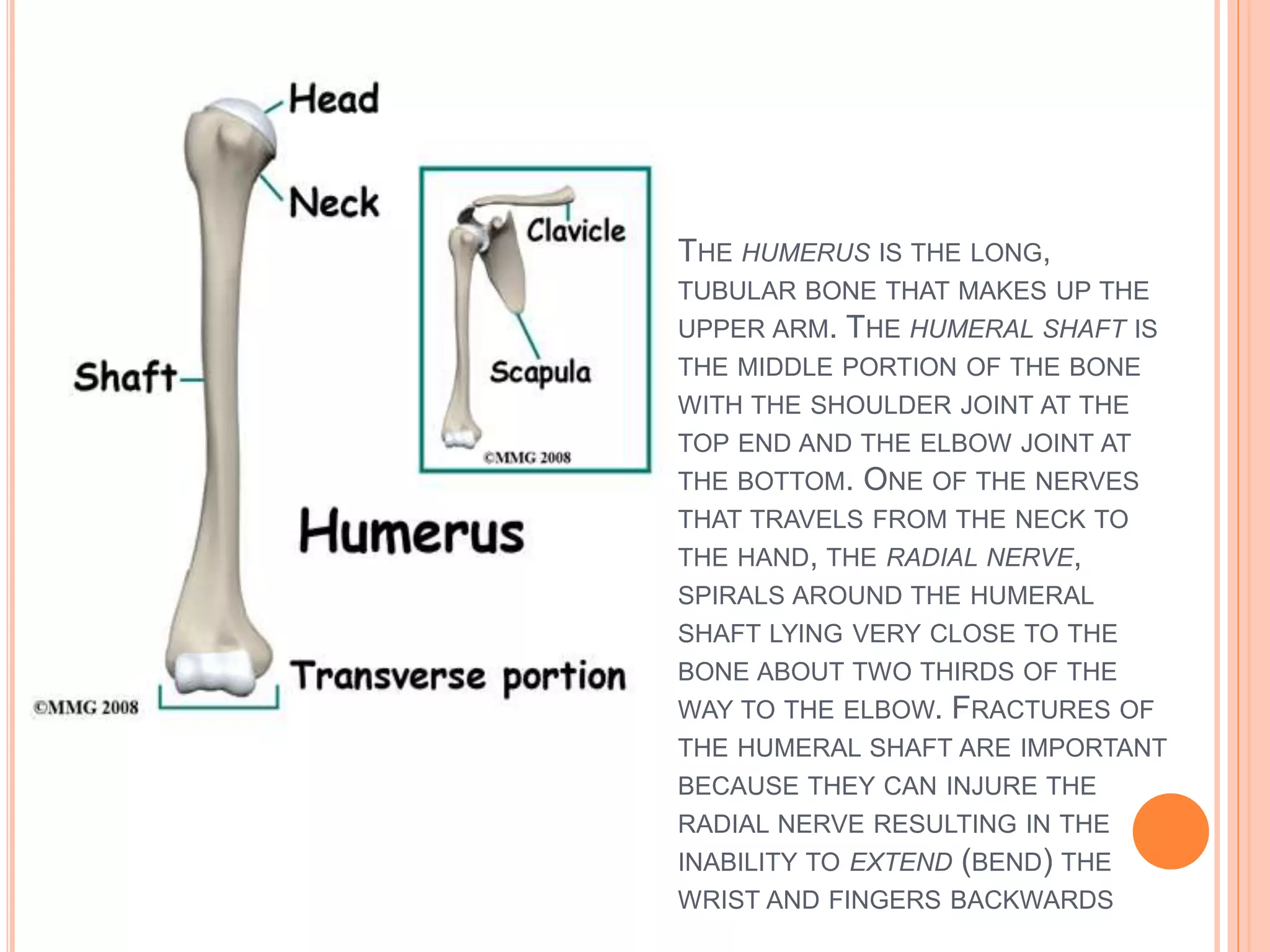 Proximal humerus fractures | PPTX