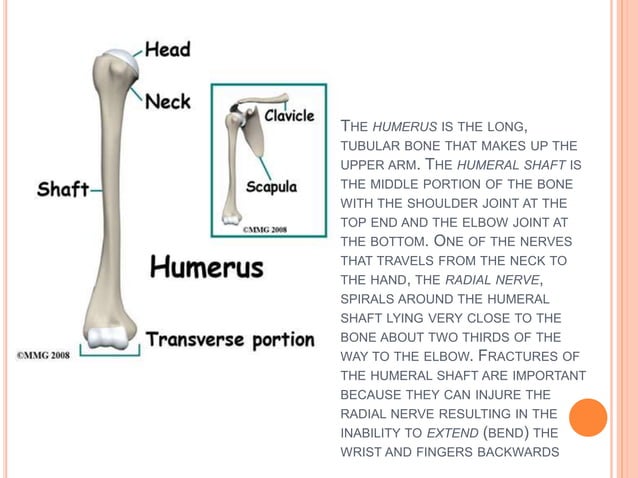 Proximal humerus fractures | PPTX