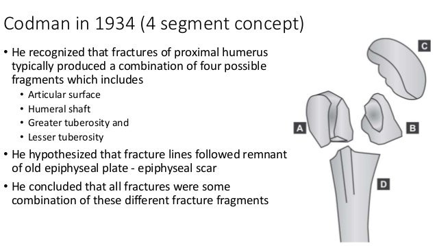 Proximal humerus fractures