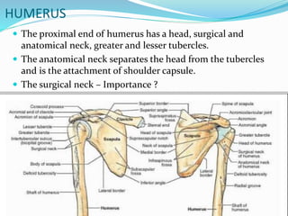 Proximal humerus fractures anatomy and classification | PPTX