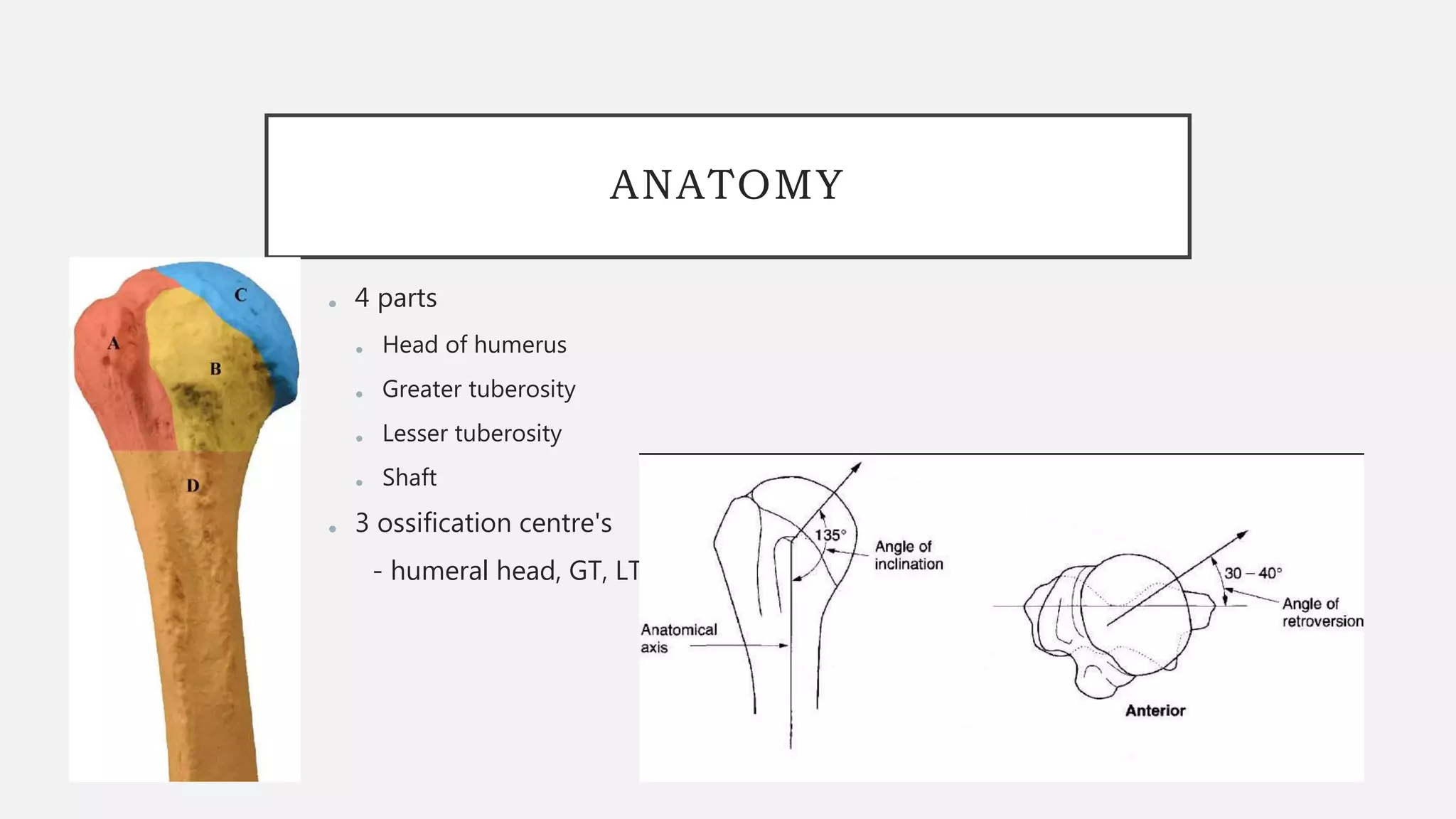 Proximal humerus fractures | PPTX