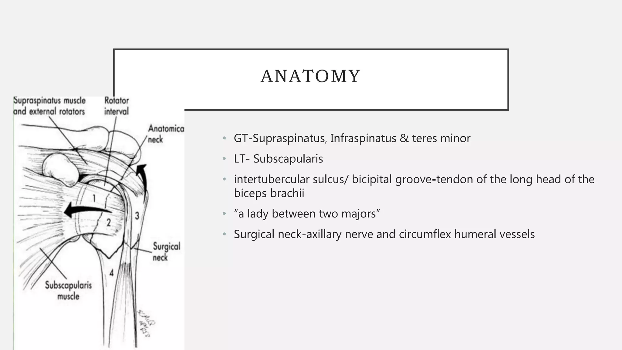 Proximal humerus fractures | PPTX