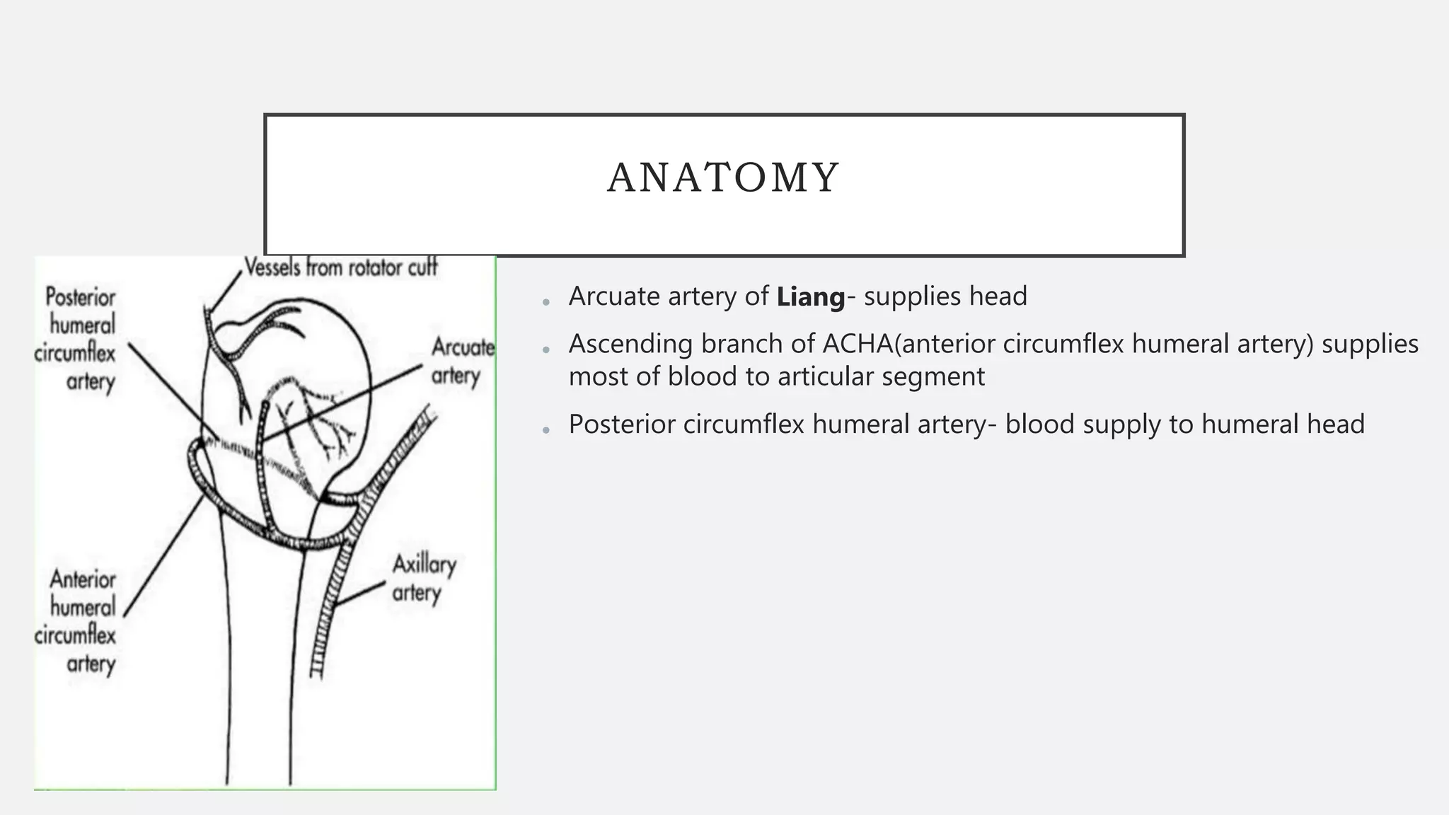 Proximal humerus fractures | PPTX