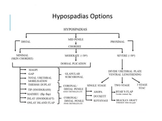 Surgical management of Proximal hypospadias.ppt