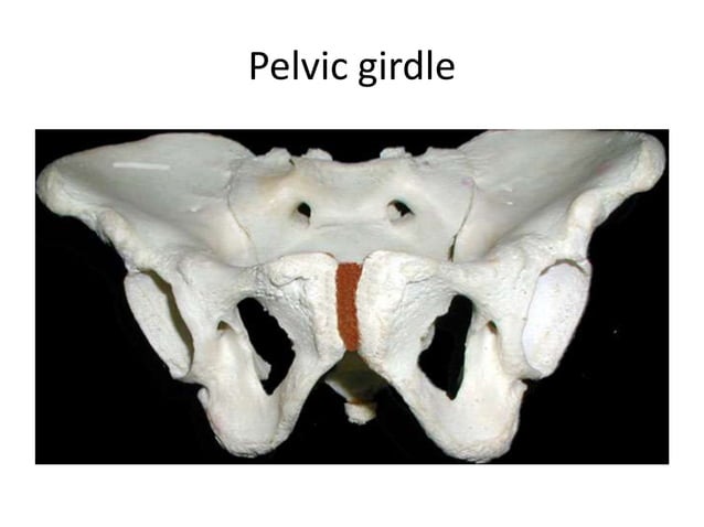 Proximal limb girdle syndromes approach | PPT