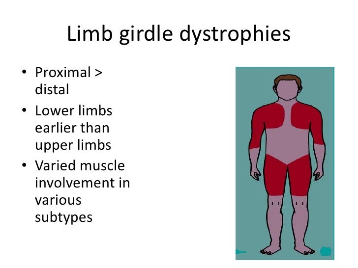 Proximal limb girdle syndromes approach