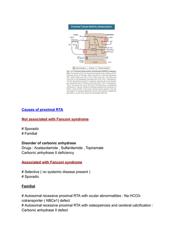 Proximal RTA ( Type 2 RTA ) - Important points.pdf | Blood Disorders | Diseases and Conditions