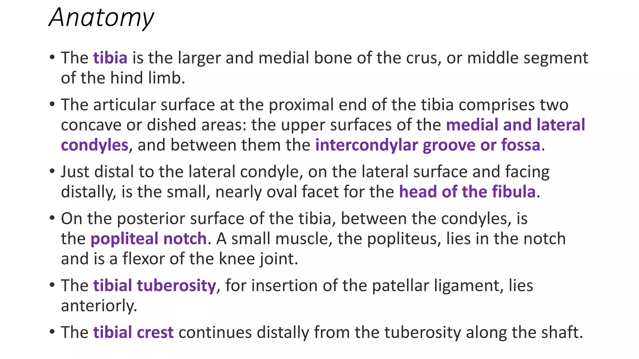 Proximal tibia fractures(Plateau, spine ,Tubercle and Epiphyseal ) | PPT