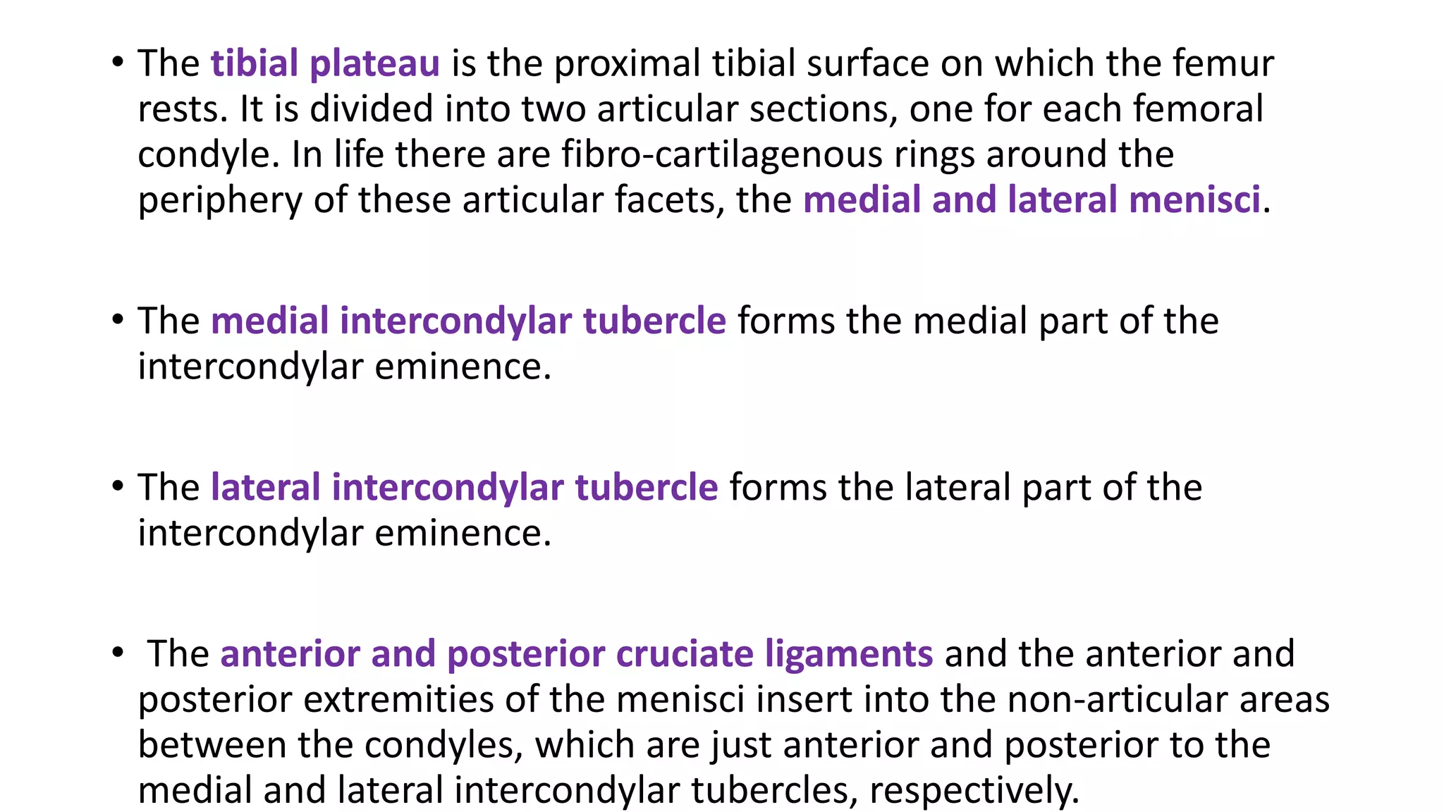Proximal Tibia Fractures Plateau Spine Tubercle And Epiphyseal Ppt