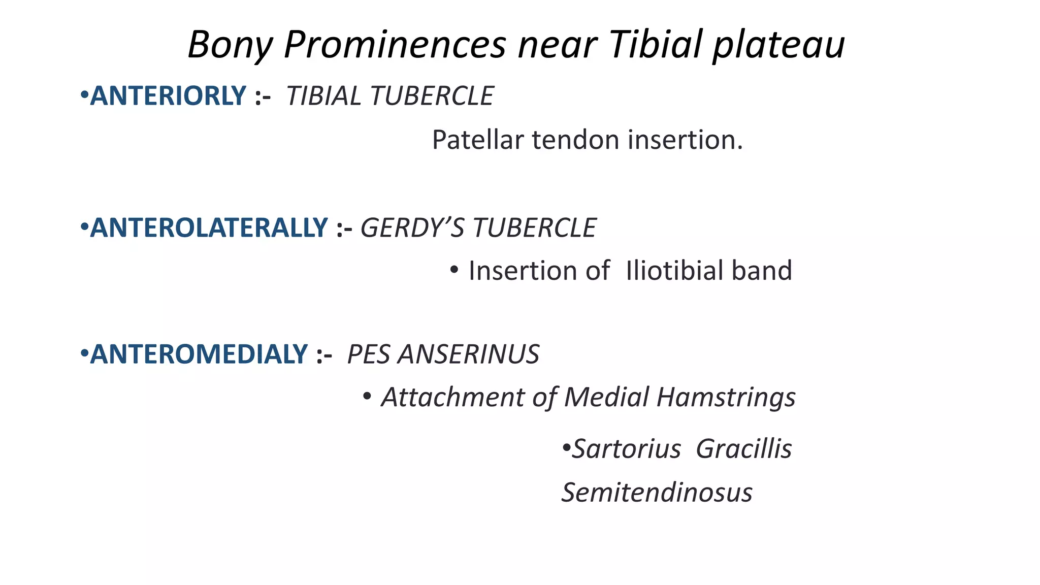 Proximal tibia fractures(Plateau, spine ,Tubercle and Epiphyseal ) | PPT