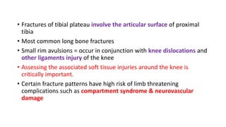 Proximal tibia fractures(Plateau, spine ,Tubercle and Epiphyseal ) | PPT
