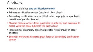 Proximal tibia fractures(Plateau, spine ,Tubercle and Epiphyseal ) | PPT