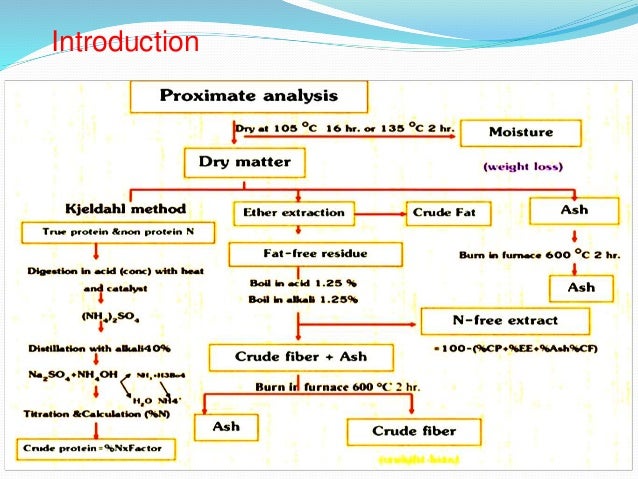 Proximate p[rinciples