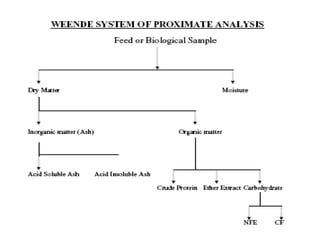Proximate / Weende System Analysis of Feeds & Fodder | PPT