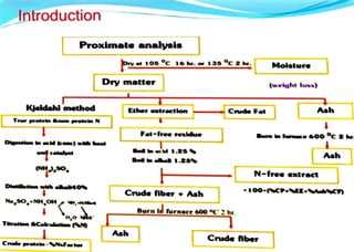 PROXIMATE PRINCIPAL.pdf