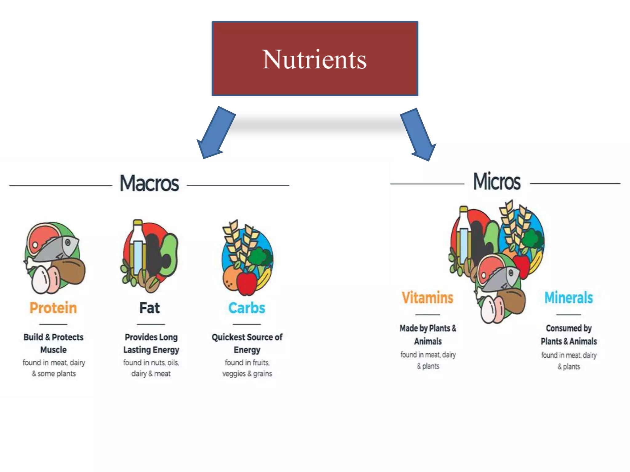 Nutrients and its classification .pptx