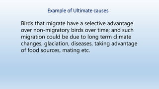 Proximate vs ultimate causes of animal behavior | PPTX